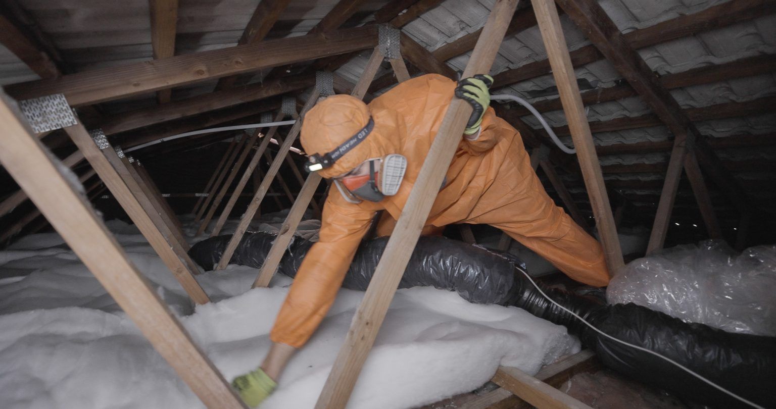 Landlords & Healthy Homes | Premier Insulation